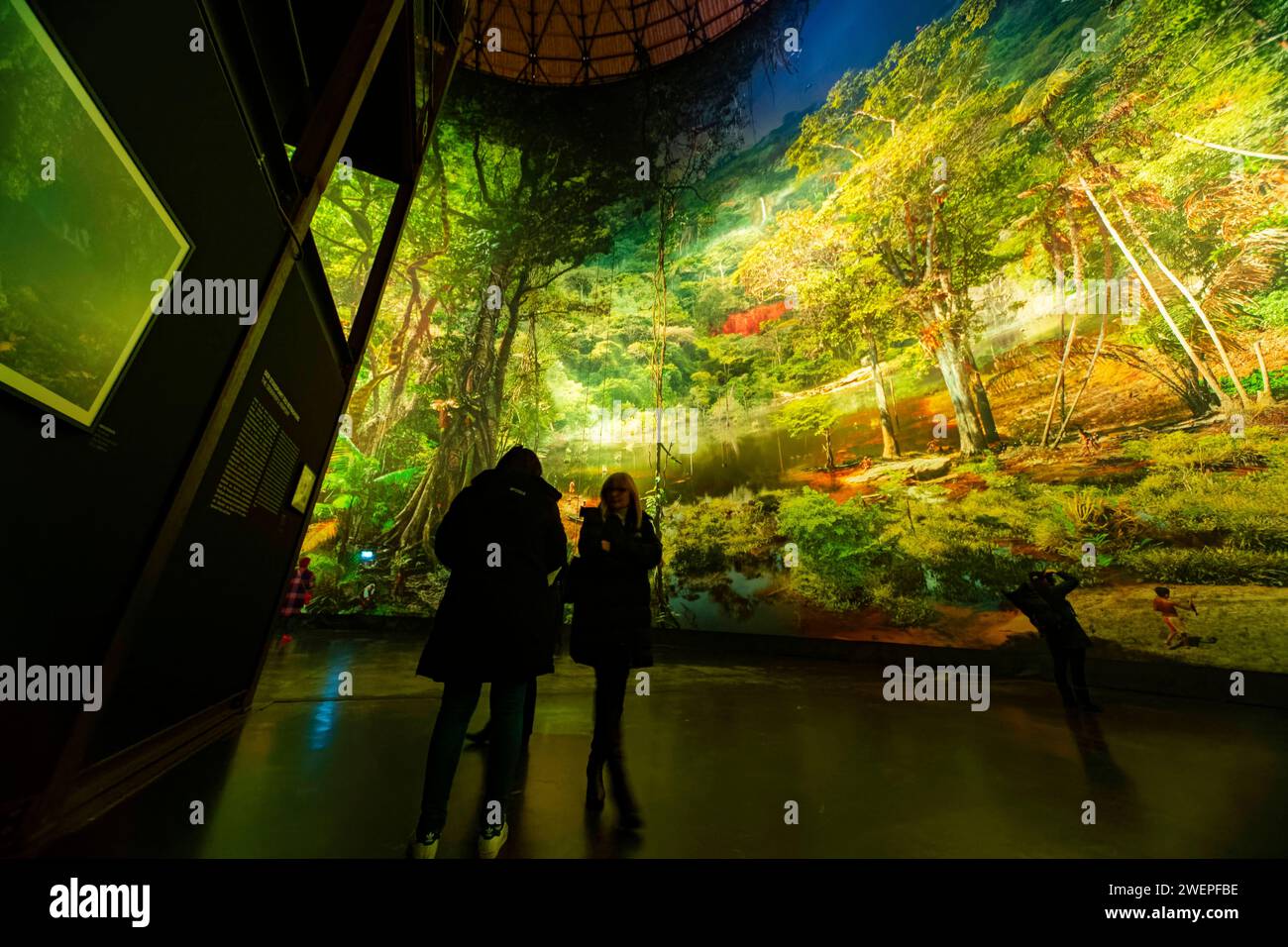 Panometer Dresden AMAZONIEN Faszination tropischer Regenwald ist ein ...