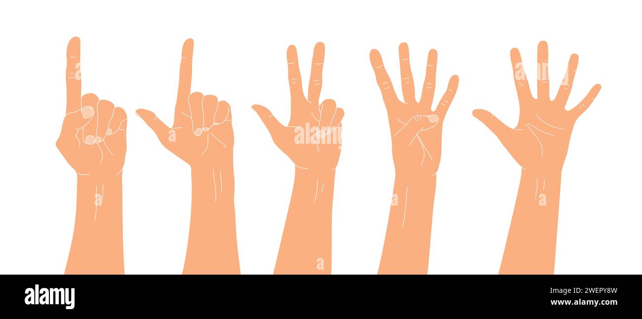 Comptage des doigts Banque d'images vectorielles - Alamy