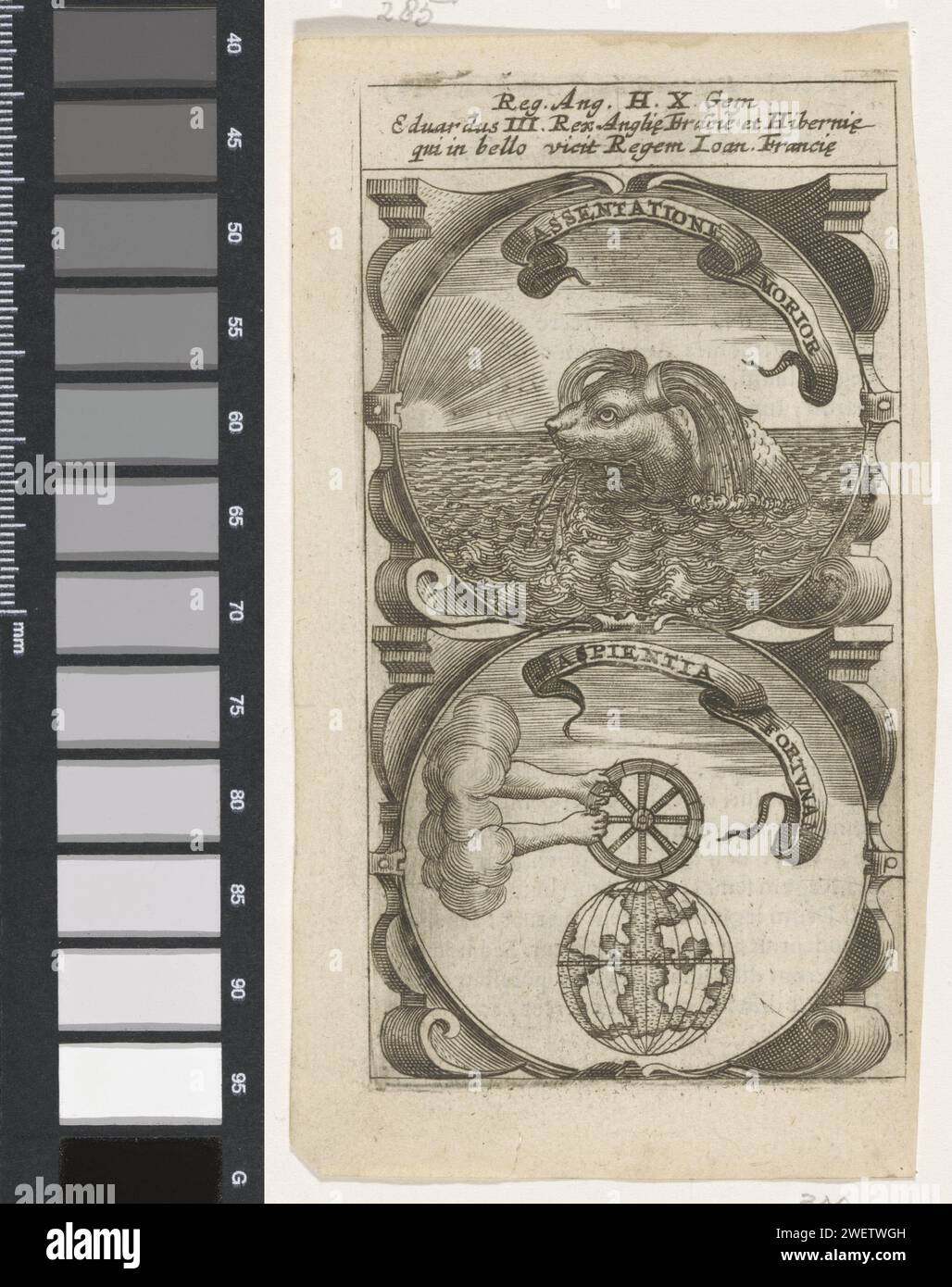 Le monstre marin crache du poisson Banque de photographies et d’images ...