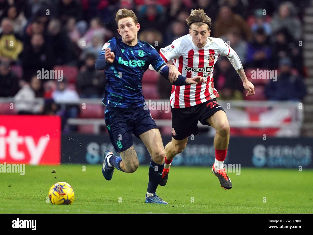 Wouter burger Banque de photographies et d’images à haute résolution ...