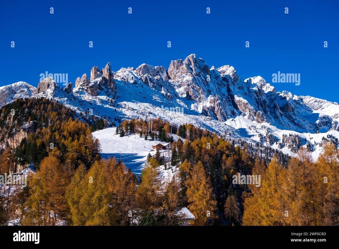 Mélèzes jaunes, sommets et falaises rocheuses de I Mugoni du groupe de ...