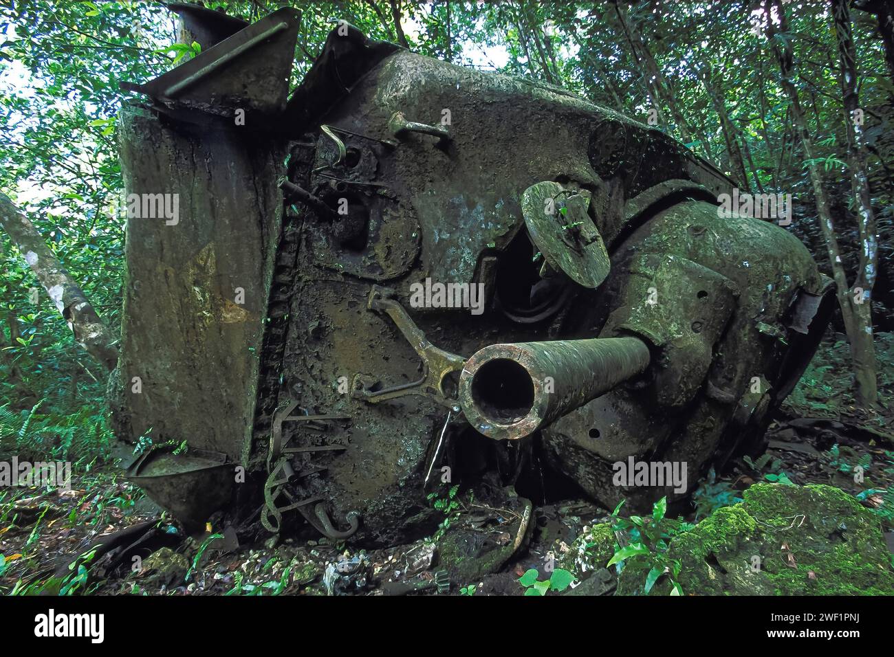 Détruit le char Sherman M4 de la Seconde Guerre mondiale dans la jungle ...