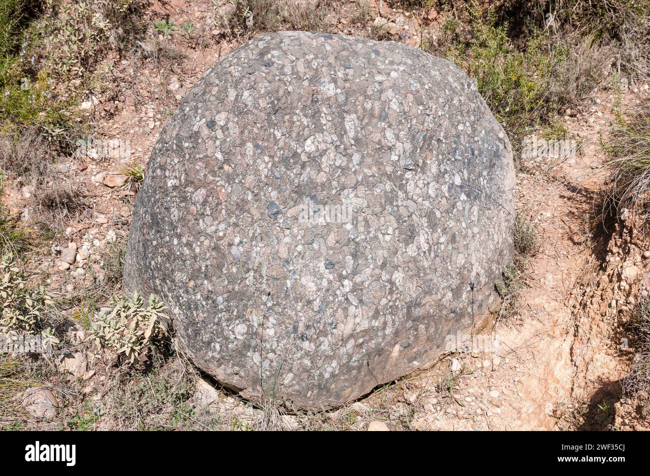 Sedimentary rock conglomerate Banque de photographies et d’images à ...