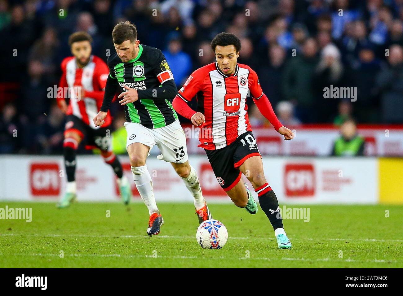 Pascal gros de brighton Banque de photographies et d’images à haute ...
