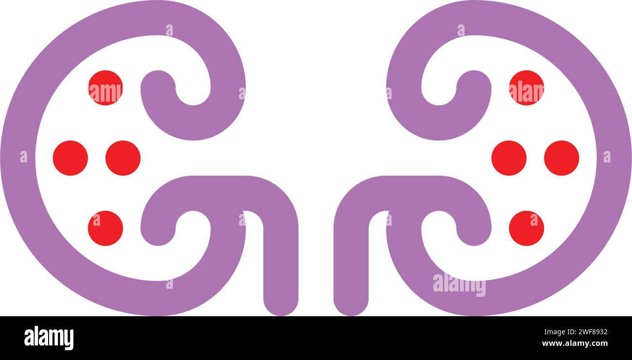 Kyste rein Banque d'images vectorielles - Alamy