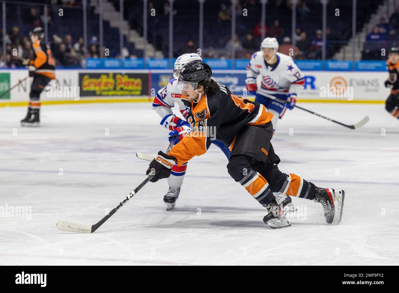 17 janvier 2024 : l'attaquant des Phantoms de Lehigh Valley Jon-Randall ...