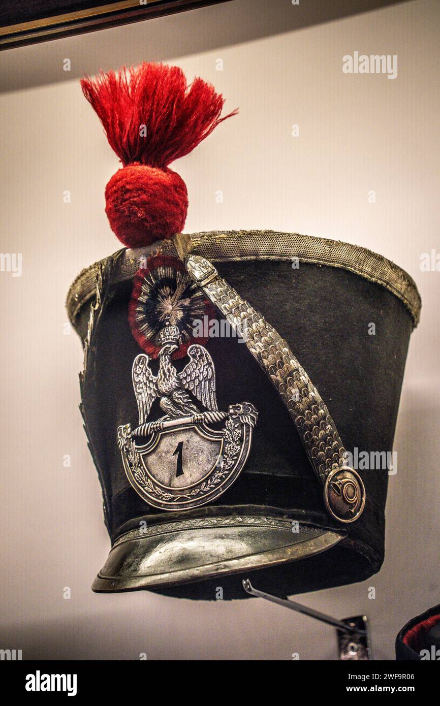 Escudo de armas de napoleón Banque de photographies et d’images à haute ...