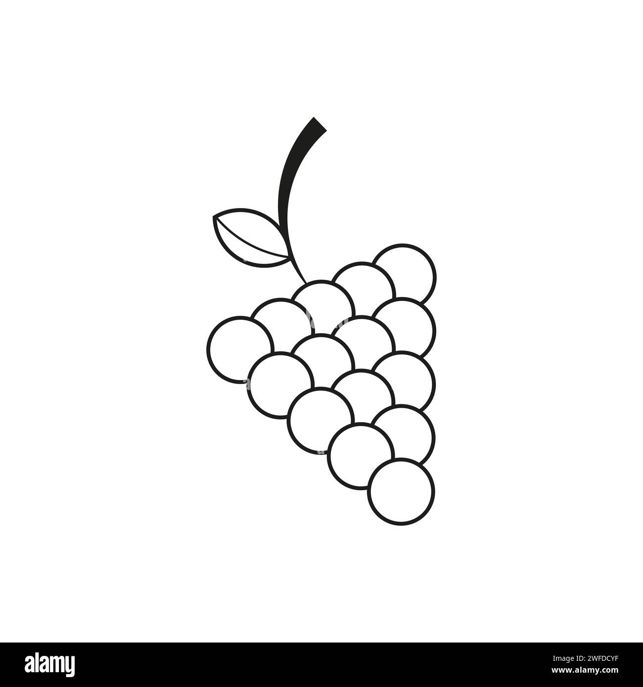 Grappe de raisin blanc vitis vinifera Banque d'images vectorielles - Alamy