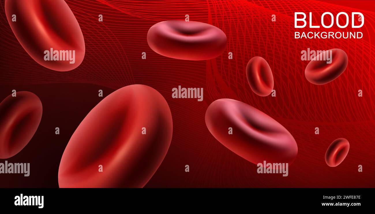 Le sang de bannière avec des érythrocytes rouges circule dans les ...