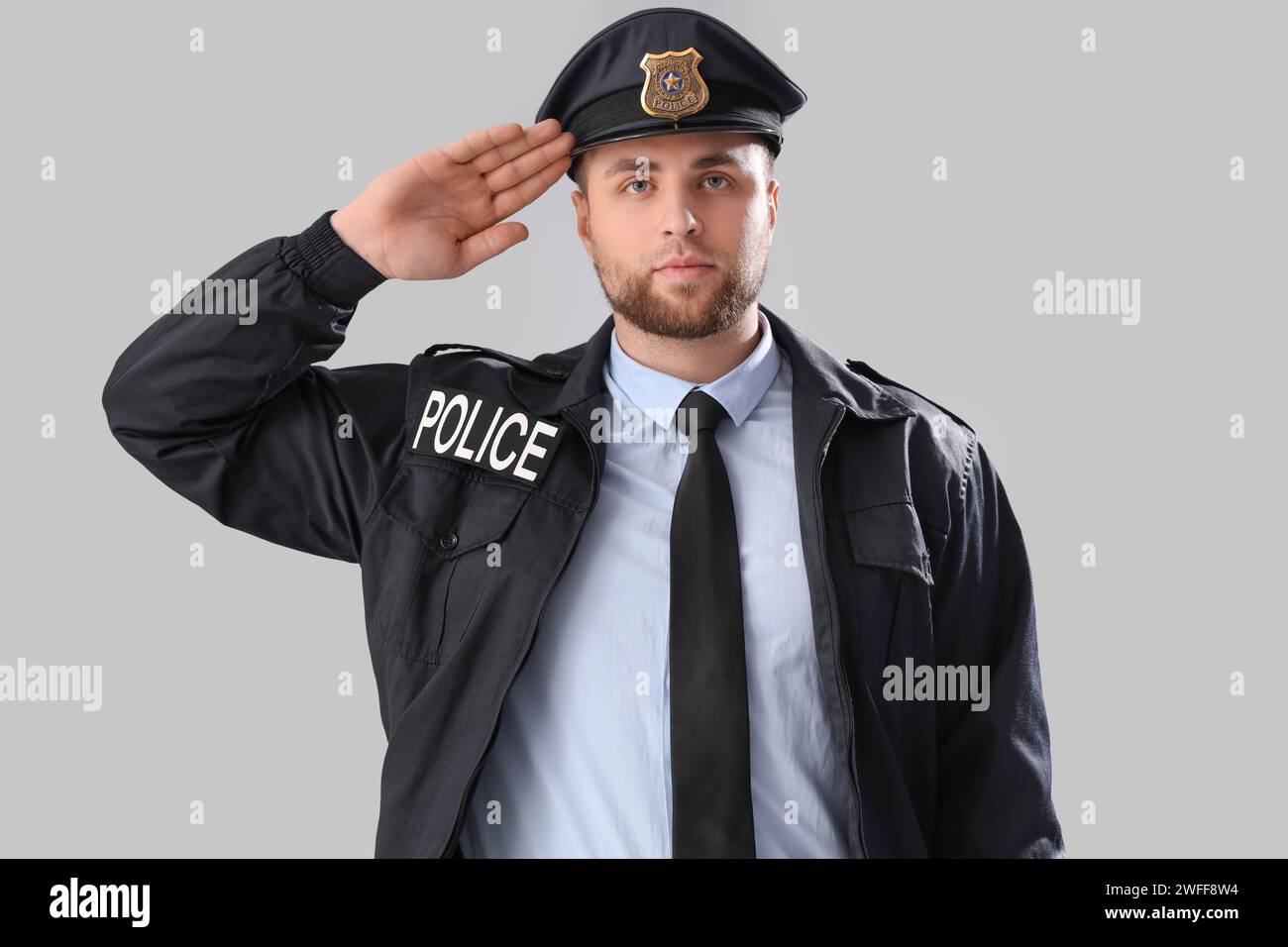 Officier de police saluant Banque de photographies et d’images à haute ...
