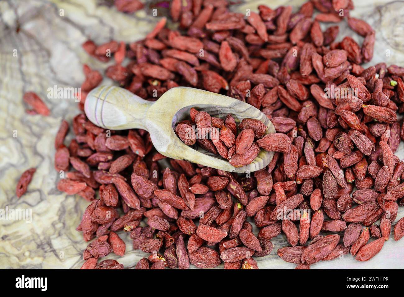 Wolfberry chinois, vigne de mariage, vigne de mariage barbay, médaillon ...
