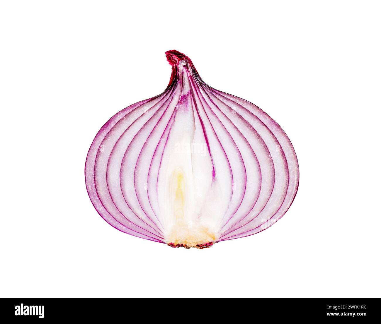 Fond de tranche d'oignon rouge Banque de photographies et d’images à ...