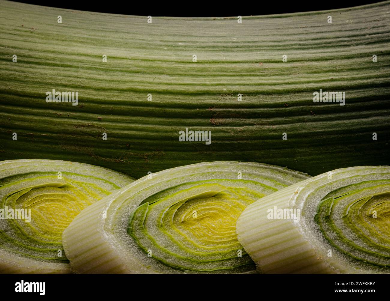 Nature subtile Banque de photographies et d’images à haute résolution ...