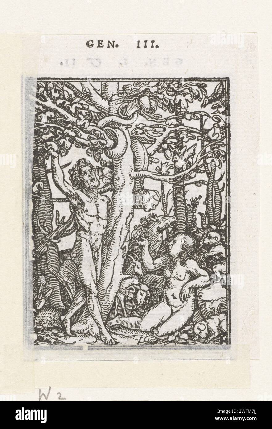 Adam et eve sous l'arbre de la connaissance Banque de photographies et ...