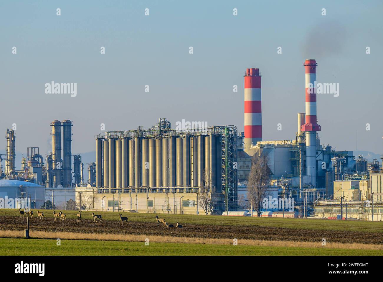 schwechat, autriche, 30 janvier 2024, raffinerie de pétrole omv ...