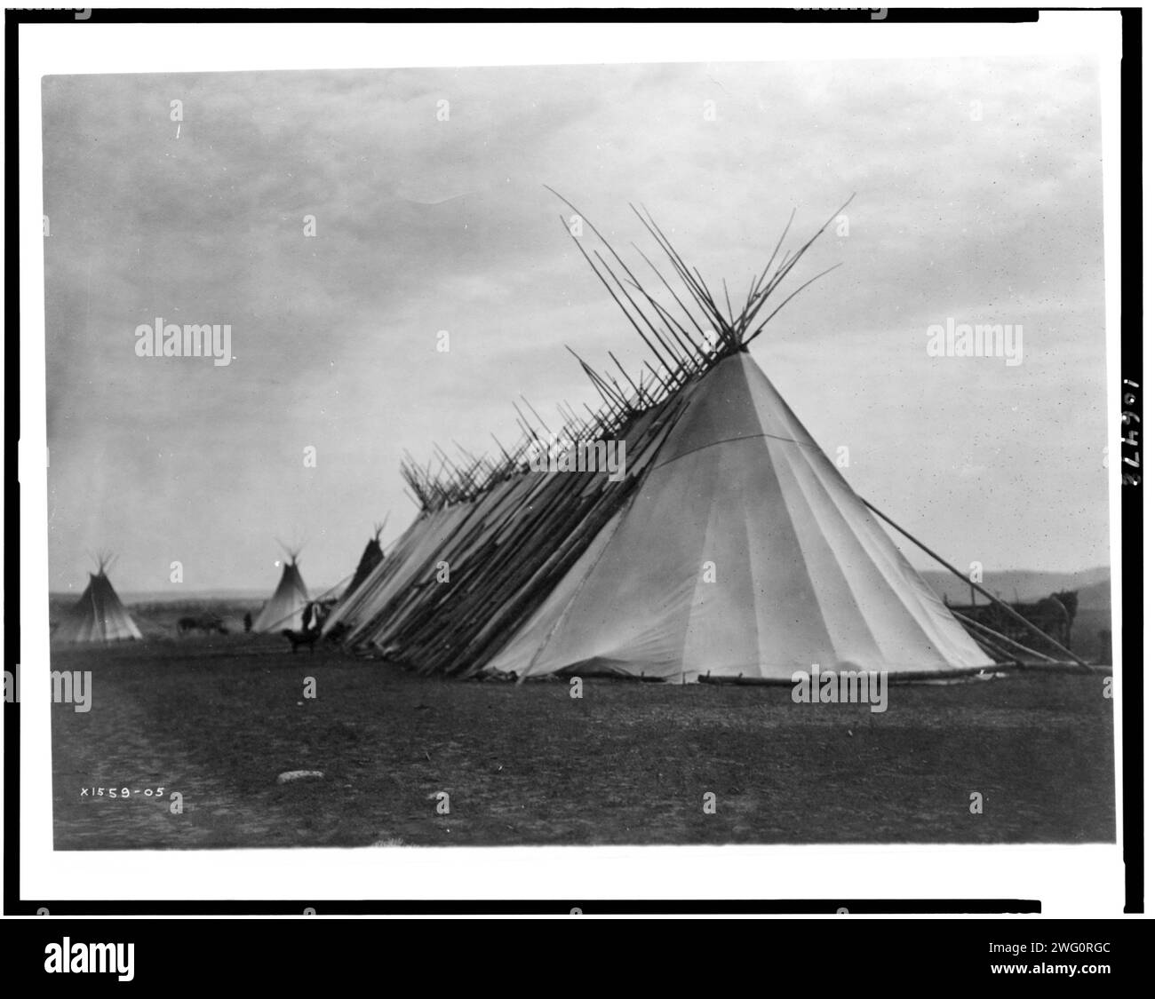 Nez perce indian tribe Banque d'images détourées - Alamy