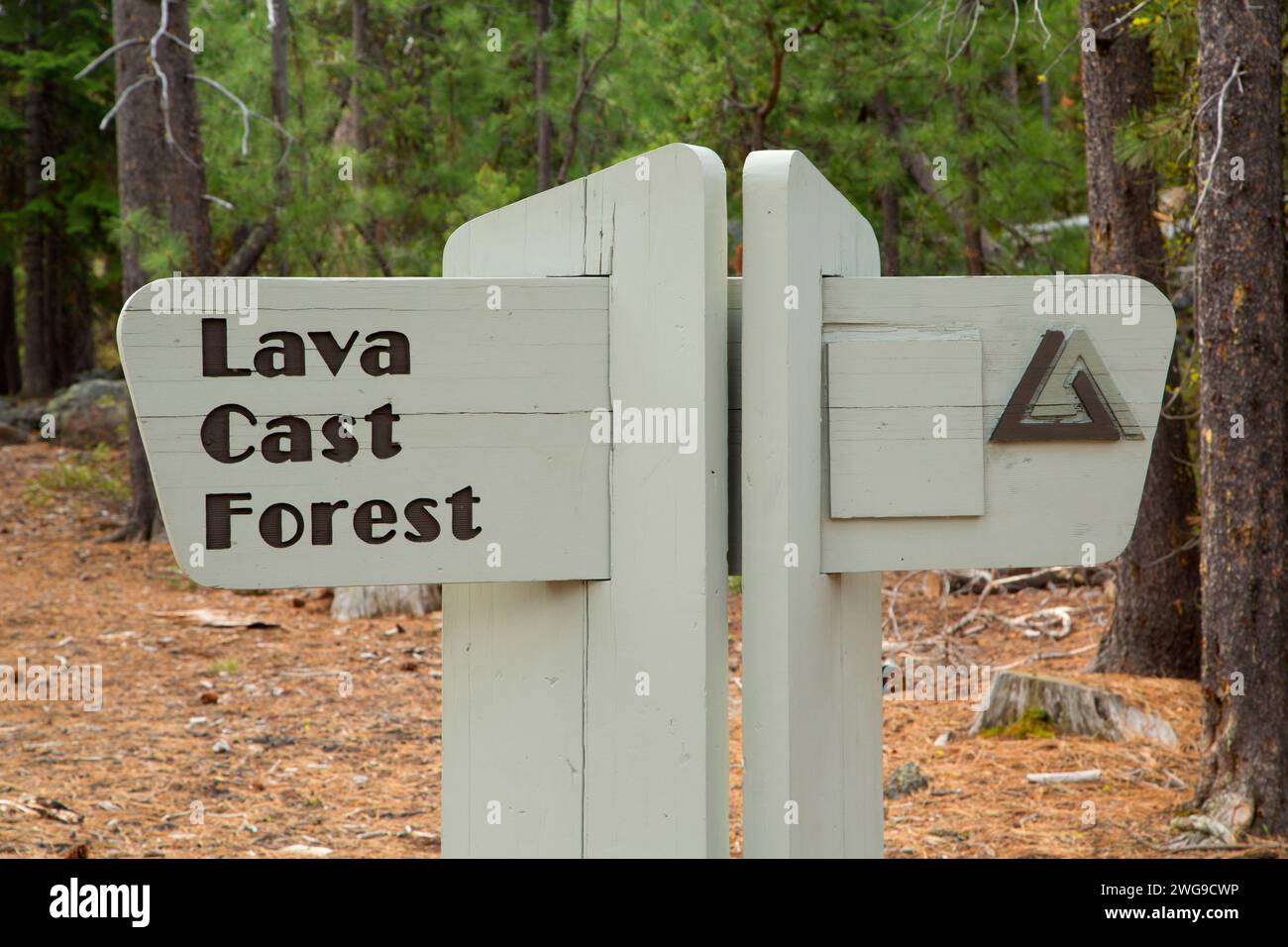 Lava cast forest Banque de photographies et d’images à haute résolution ...