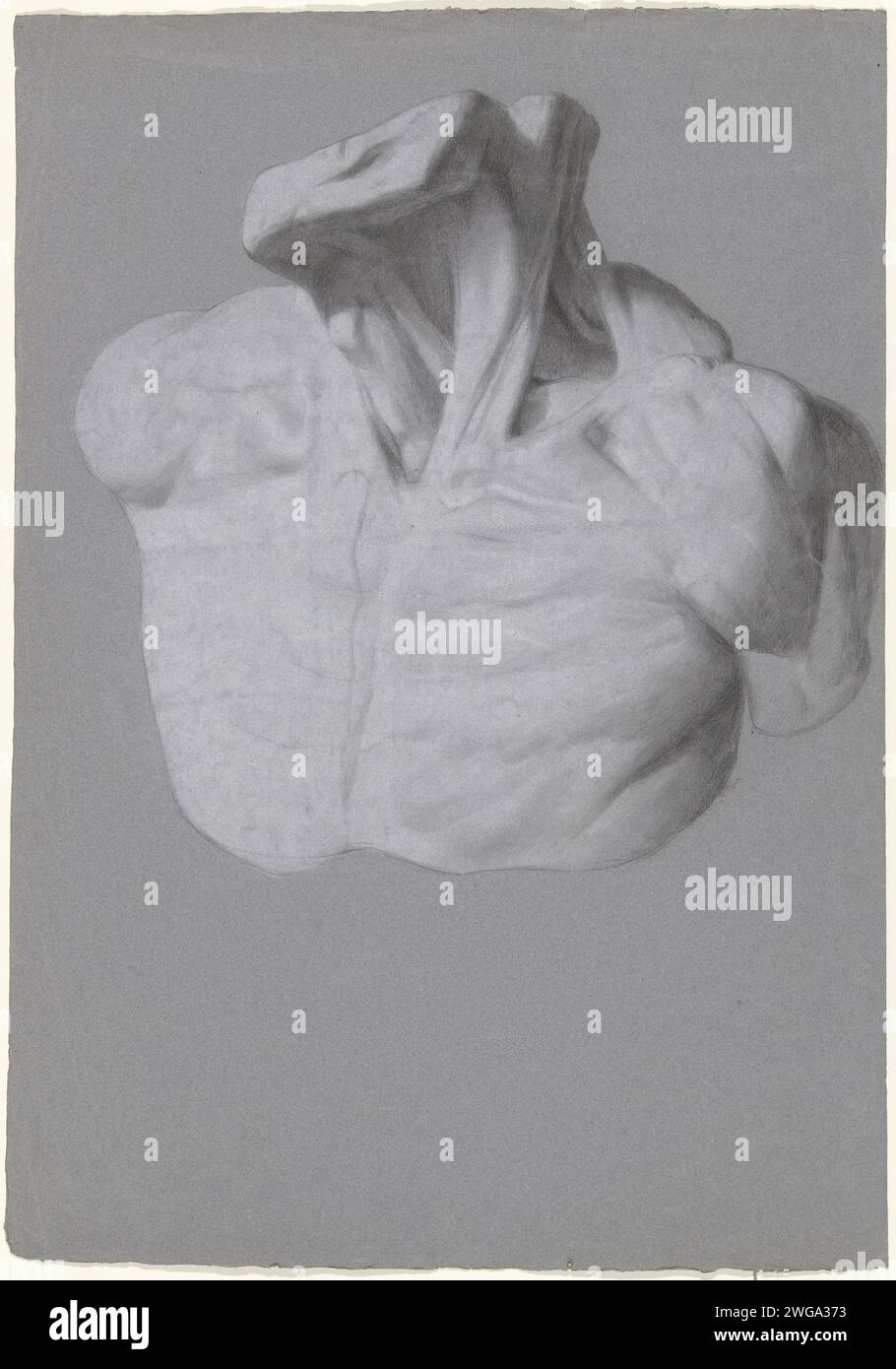 Musculo torax dibujo Banque de photographies et d’images à haute ...