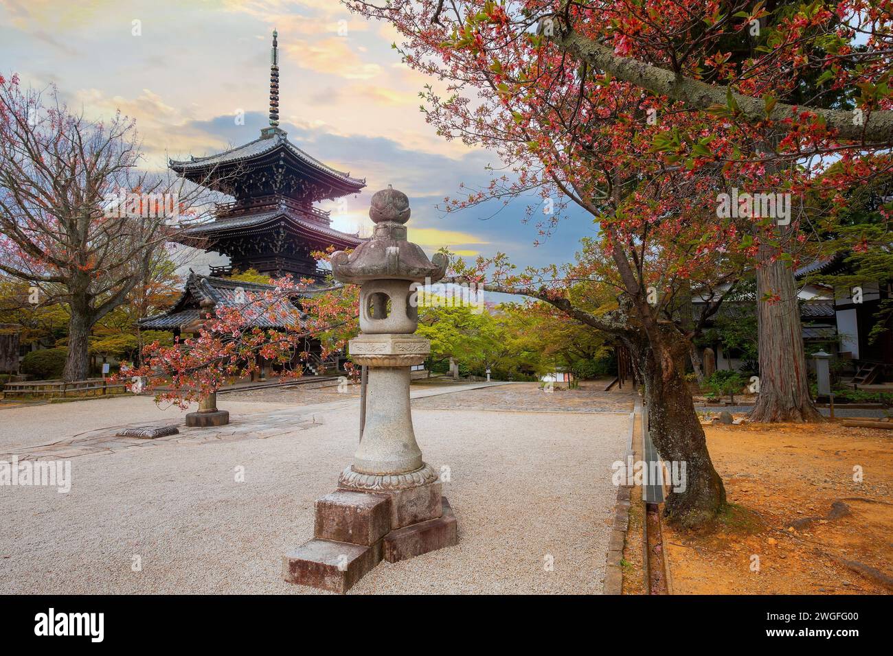 Temple shinsho gokurakuji Banque de photographies et d’images à haute ...