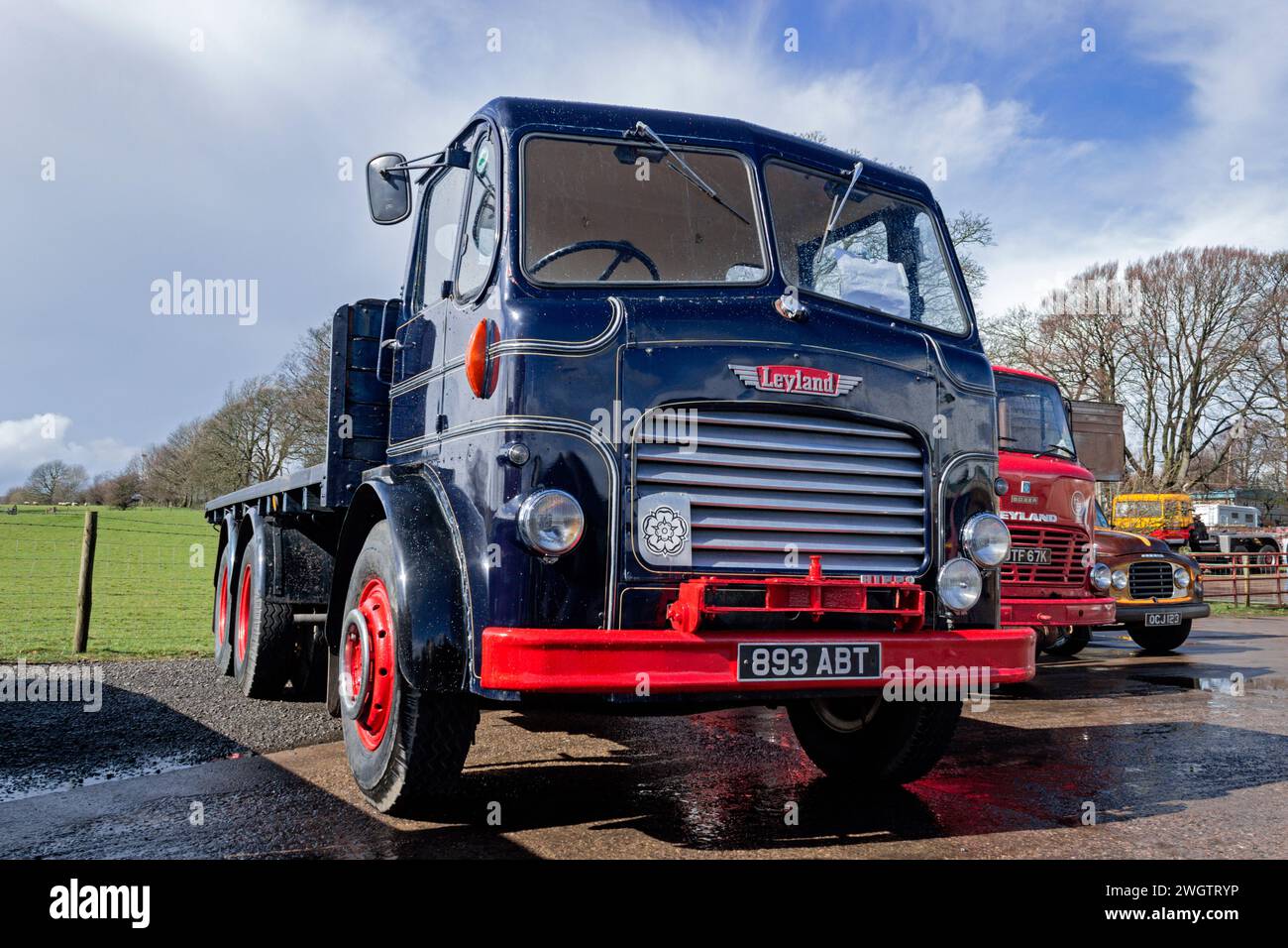 Hippo leyland Banque de photographies et d’images à haute résolution ...