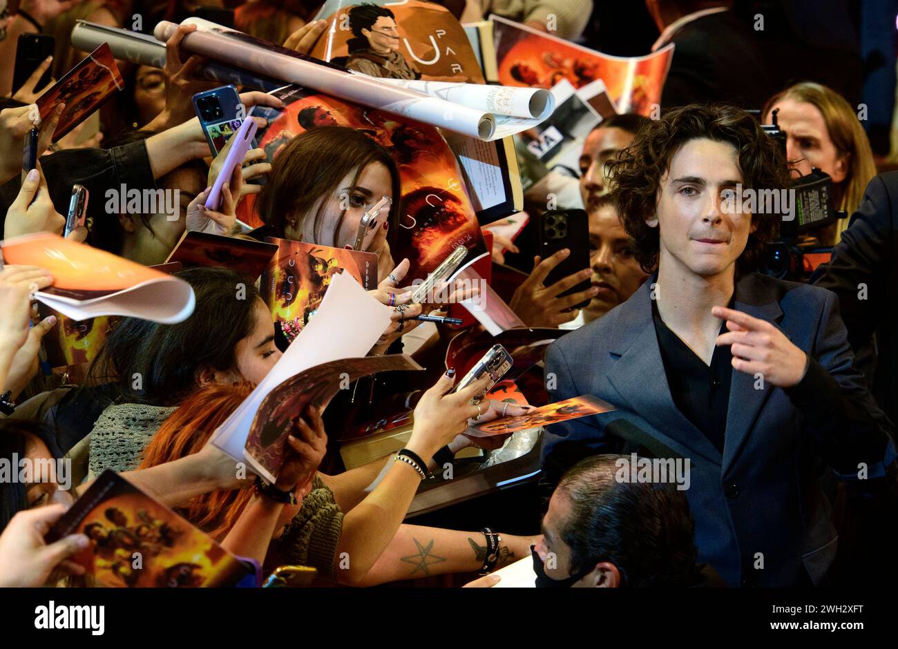 Les fans de timothee chalamet Banque de photographies et d’images à ...
