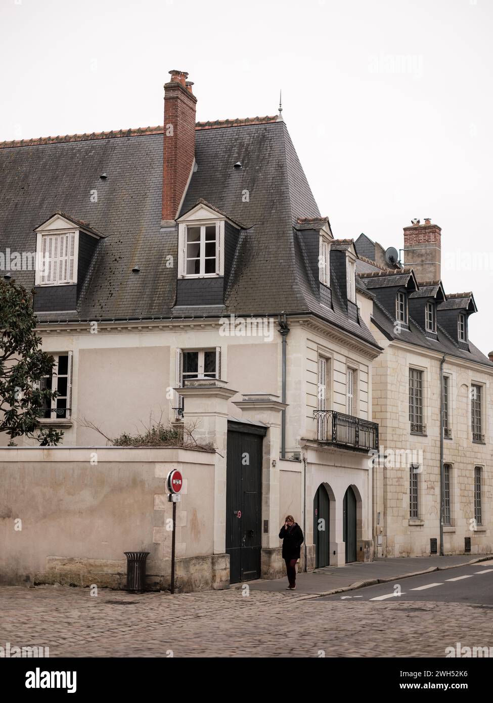 Situé dans la vallée de la Loire, Tours est réputé pour son histoire ...