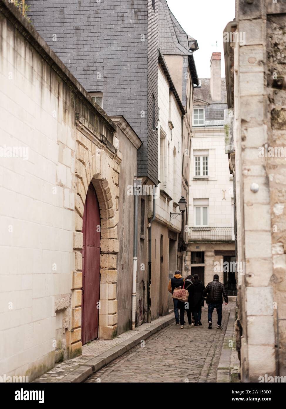 Situé dans la vallée de la Loire, Tours est réputé pour son histoire ...