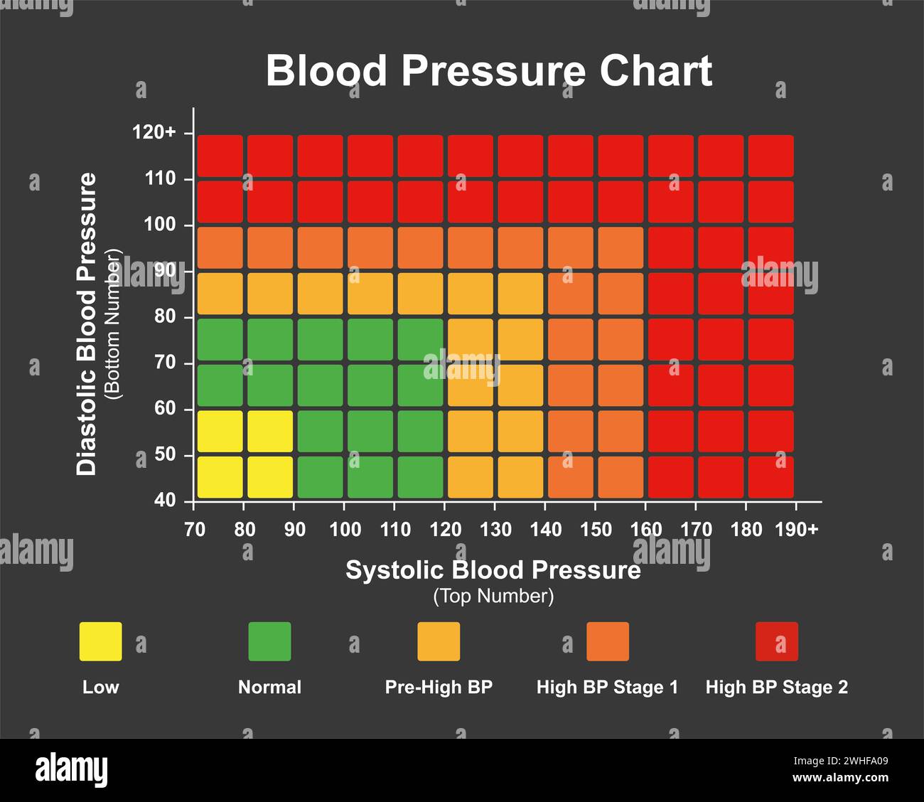 Tableau de pression artérielle, illustration Photo Stock - Alamy