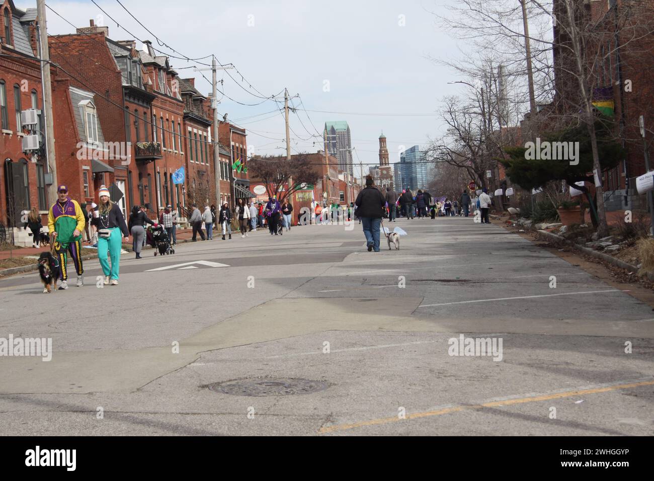 Purina Pet Parade 2024. Dans les rues de Soulard-préparé Louis ...