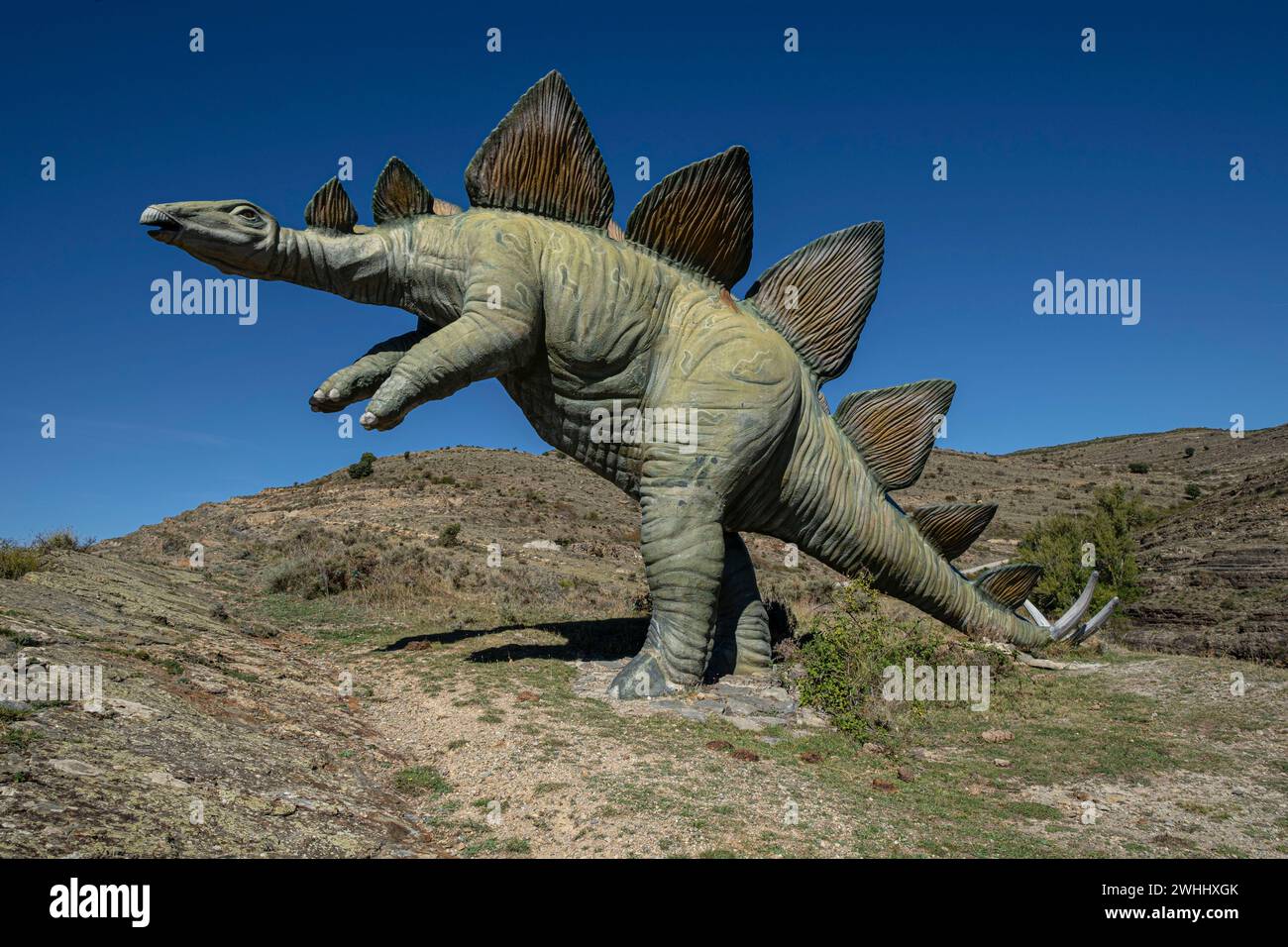 Stegosaurus dinosaurs the Banque de photographies et d’images à haute ...