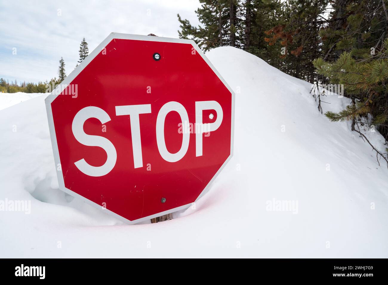 Winter stop sign Banque de photographies et d’images à haute résolution ...