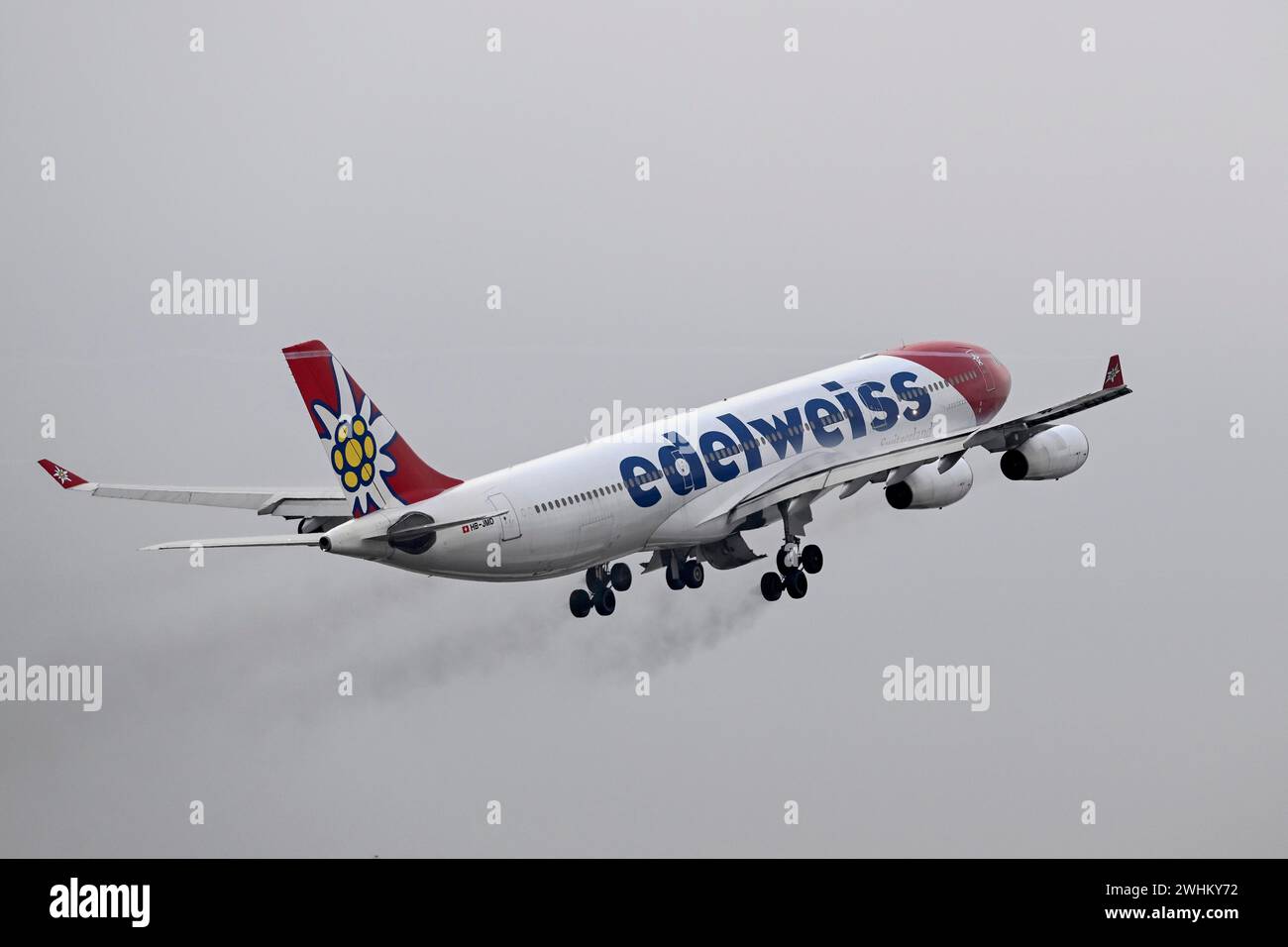 Edelweiss air a340 Banque de photographies et d’images à haute ...