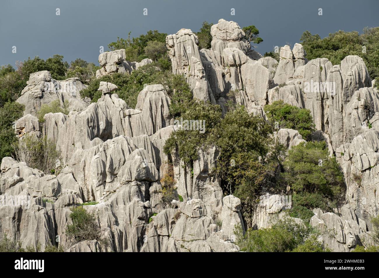 Karst weathering Banque de photographies et d’images à haute résolution ...