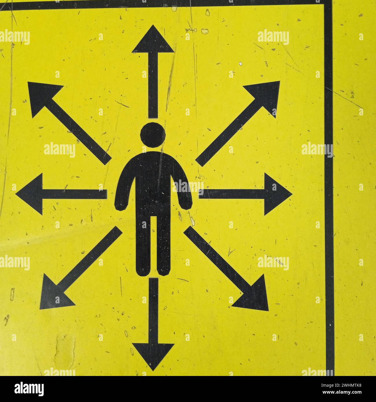 Anatomie du corps humain Banque de photographies et d’images à haute ...