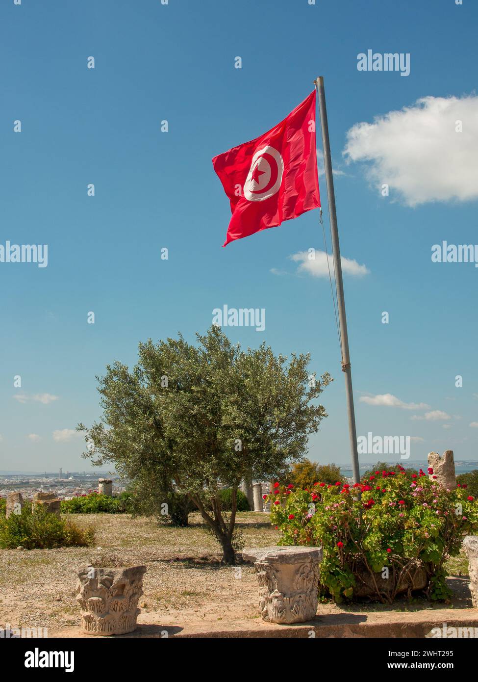 Tunisia carthage flag Banque de photographies et d’images à haute ...