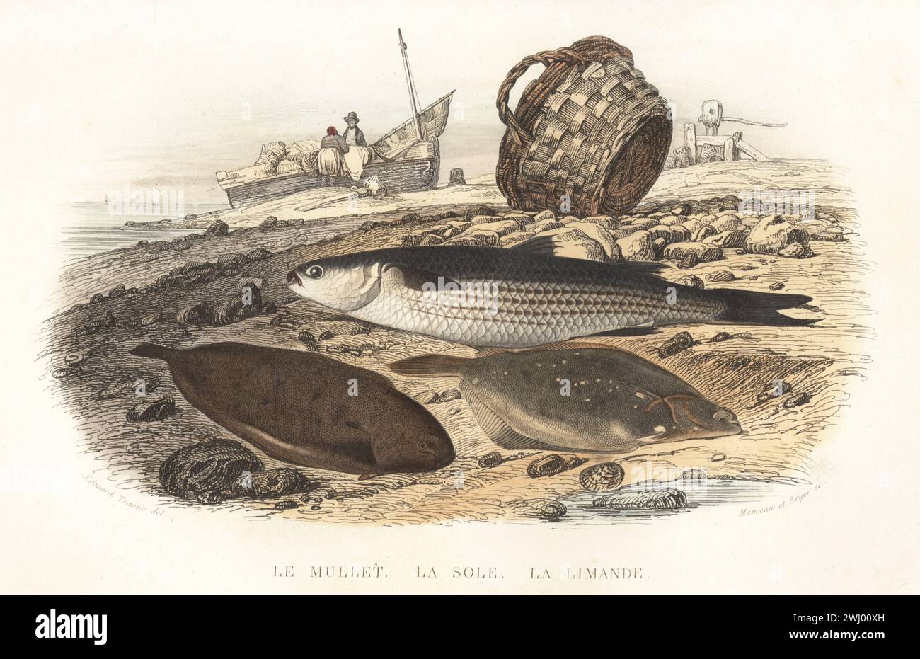 Gravure d'un voilier Banque de photographies et d’images à haute ...