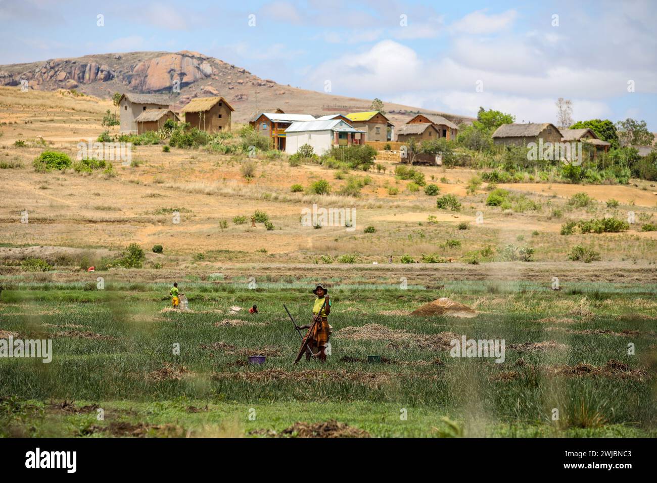 Madagascar zone rurale Banque de photographies et d’images à haute ...