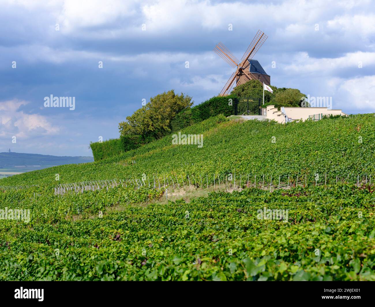 Verzenay (nord-ouest de la France) : moulin à vent et la maison de ...