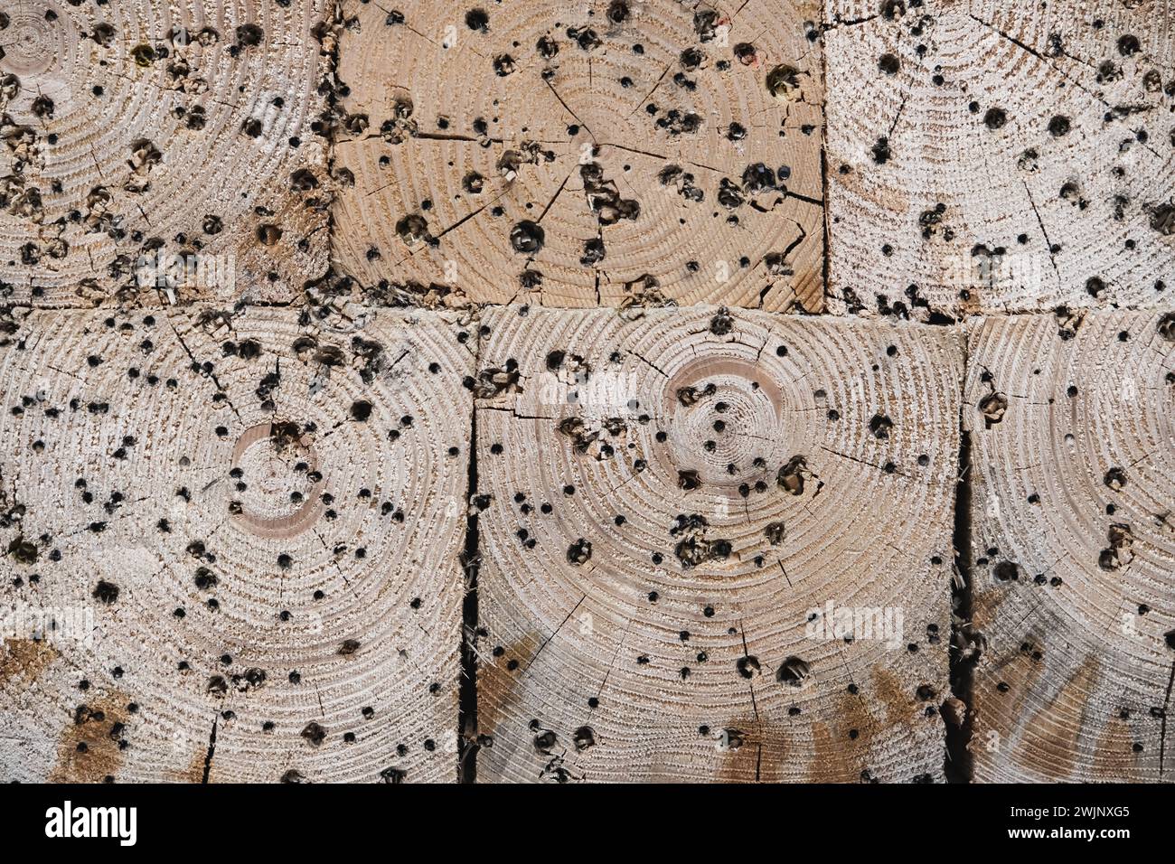 Bullet trap Banque de photographies et d’images à haute résolution - Alamy