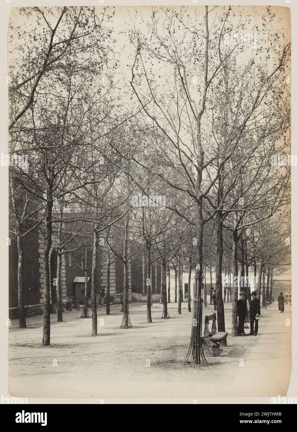 Grande roquette Banque de photographies et d’images à haute résolution ...