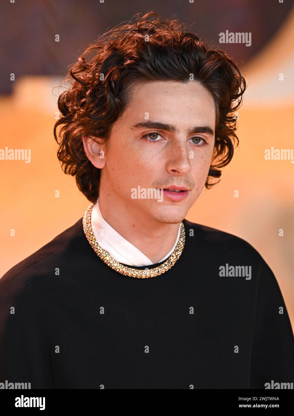 Londres, Royaume-Uni. 15 février 2024. Timoth e Chalamet arrivée à la première mondiale de Dune ...