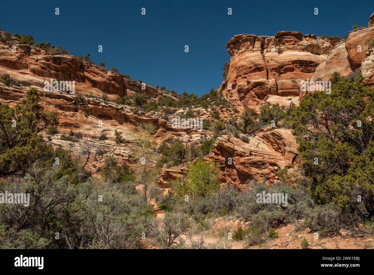 Ladder mine Banque de photographies et d’images à haute résolution - Alamy