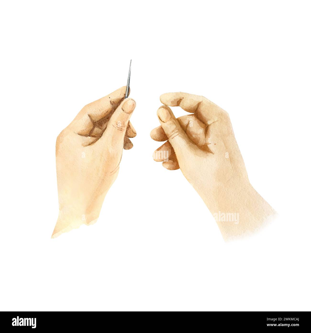 Dessin mains de femmes Banque d'images détourées - Alamy