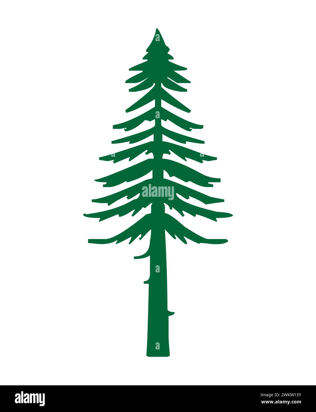 Arbre de pin vert Banque d'images vectorielles - Alamy