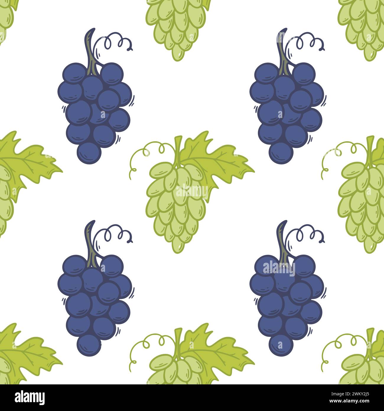 Dessin de grappe de raisin Banque de photographies et d’images à haute ...