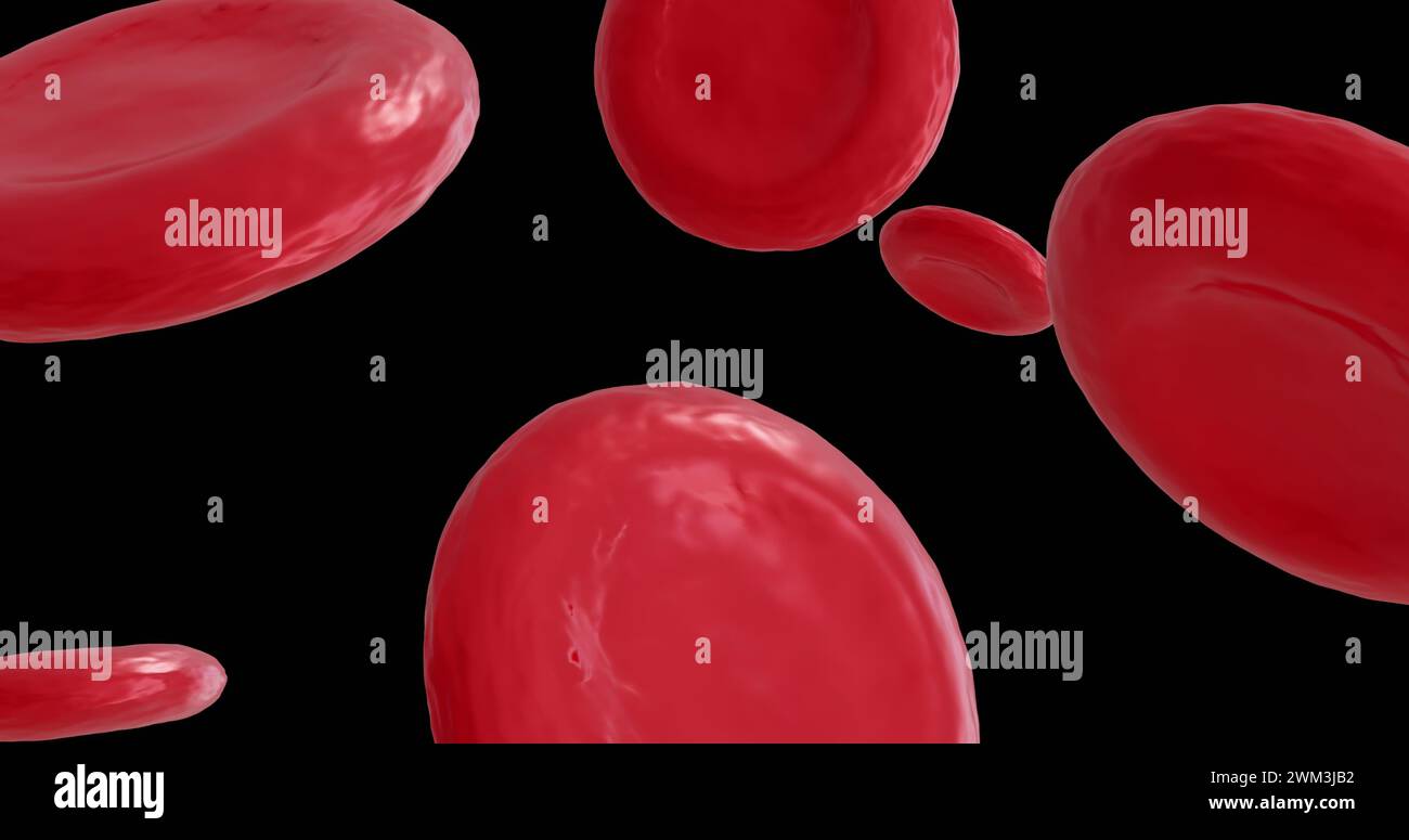 Globules rouges microscope Banque de photographies et d’images à haute ...