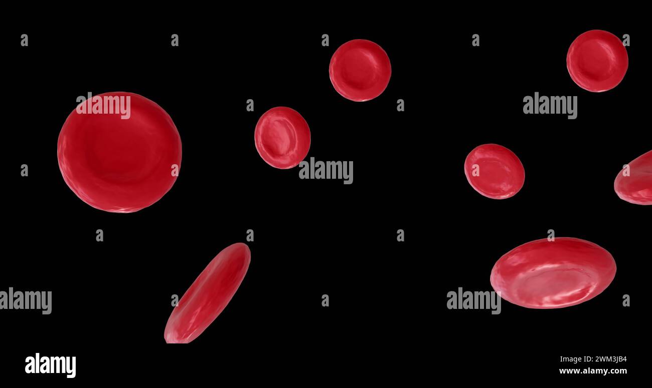 Globules rouges microscope Banque de photographies et d’images à haute ...