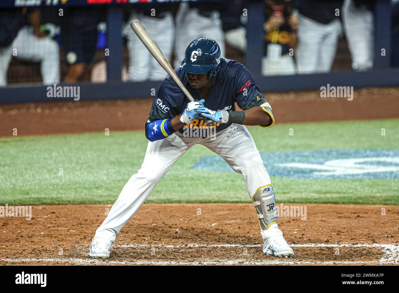 MIAMI, FLORIDE - 2 FÉVRIER : Profar Juremi de Curazao , lors d'un match ... MIAMI, FLORIDE - 2 FÉVRIER : Profar Juremi de Curazao , lors d'un match ...