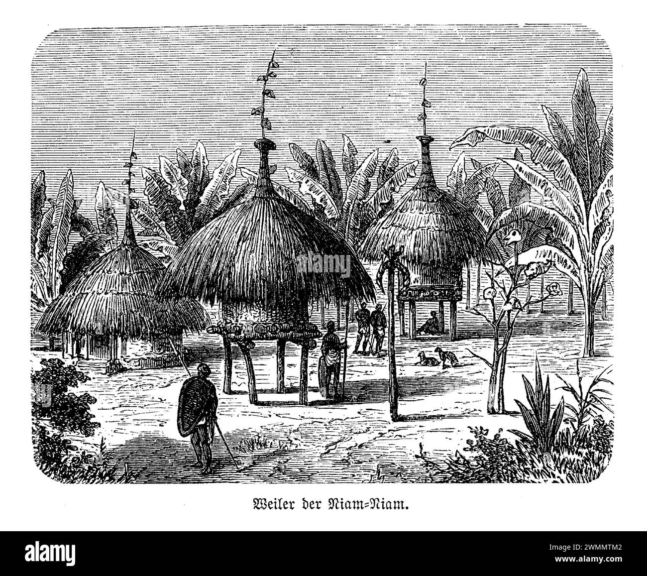 Afrique centrale maison Banque d'images détourées - Alamy