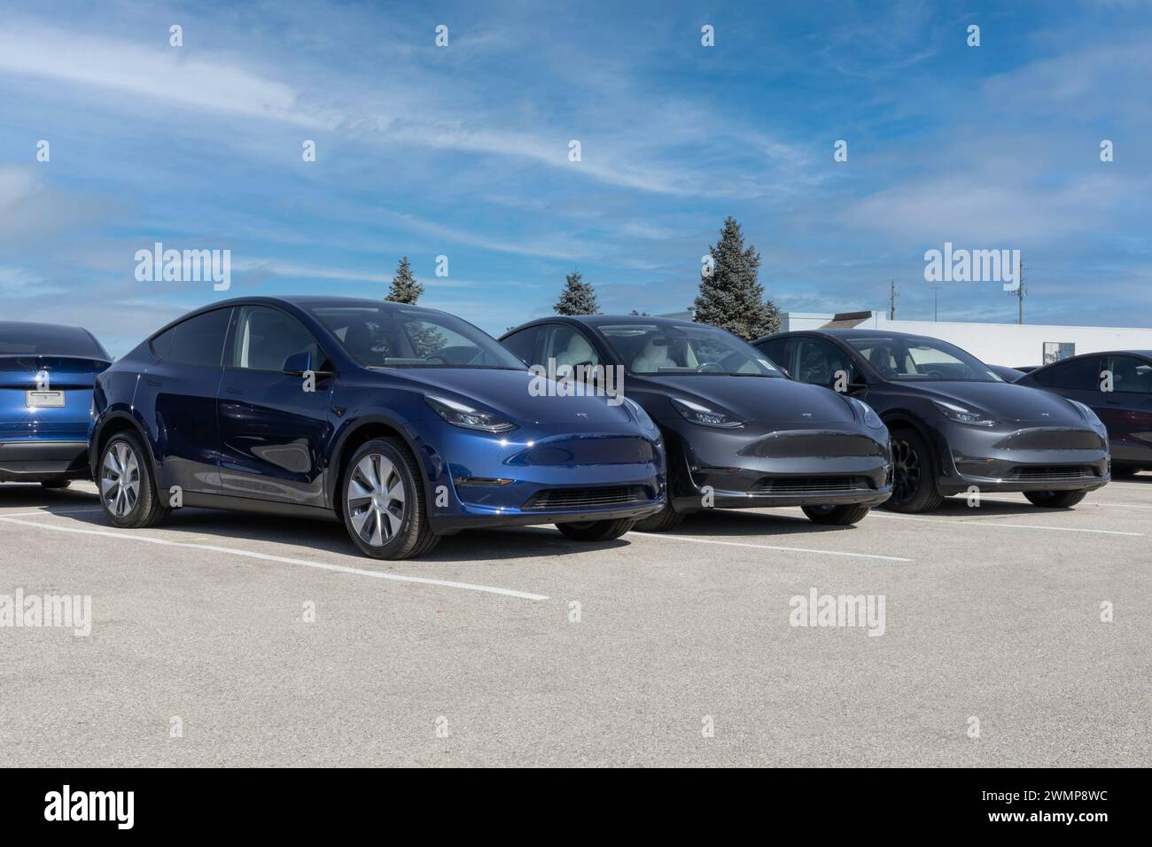 Indianapolis - 25 février 2024 : présentoir de véhicules électriques ...